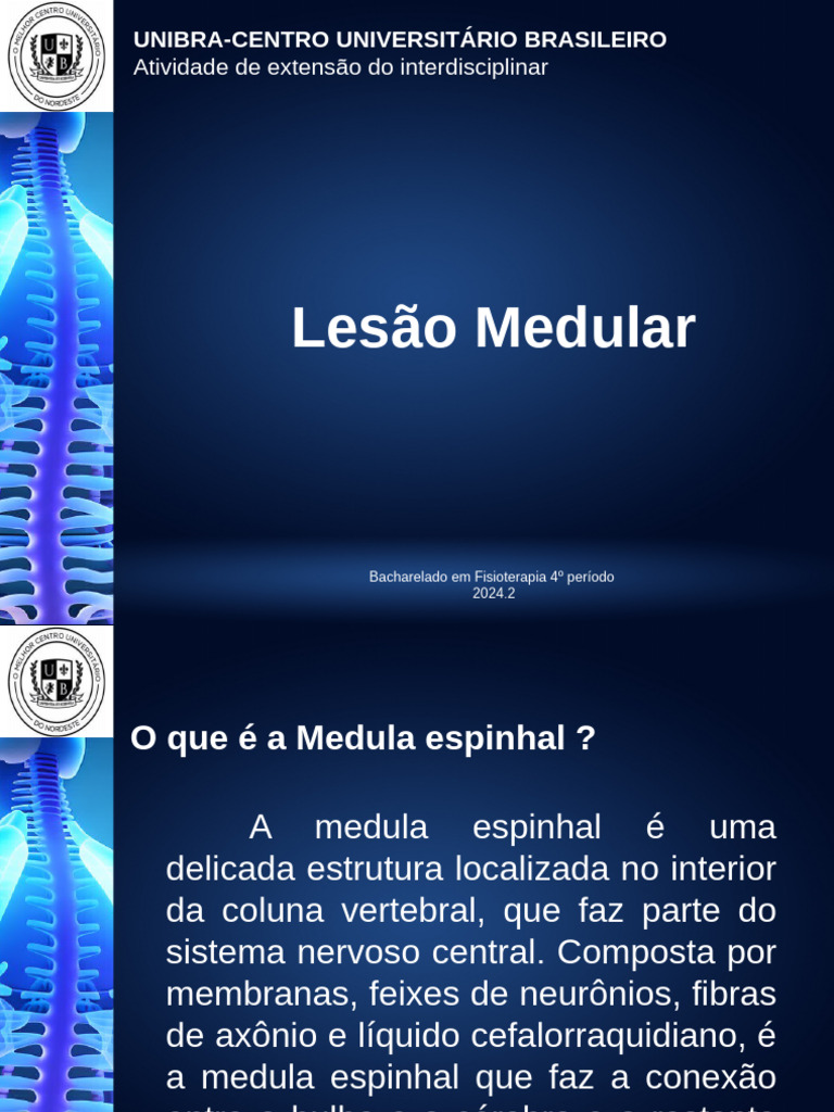 Lesão Medular | PDF