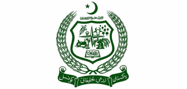 Pd16 - 24 09 23 - 00 24 26 033 | PDF