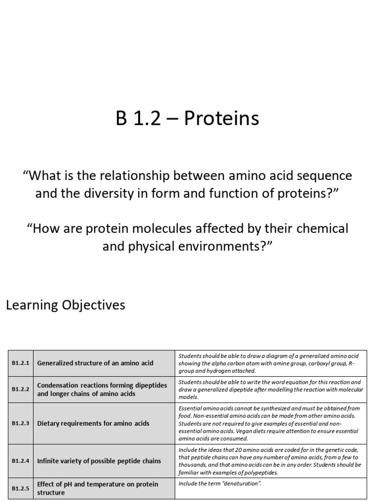 B1.2 Proteins | PDF