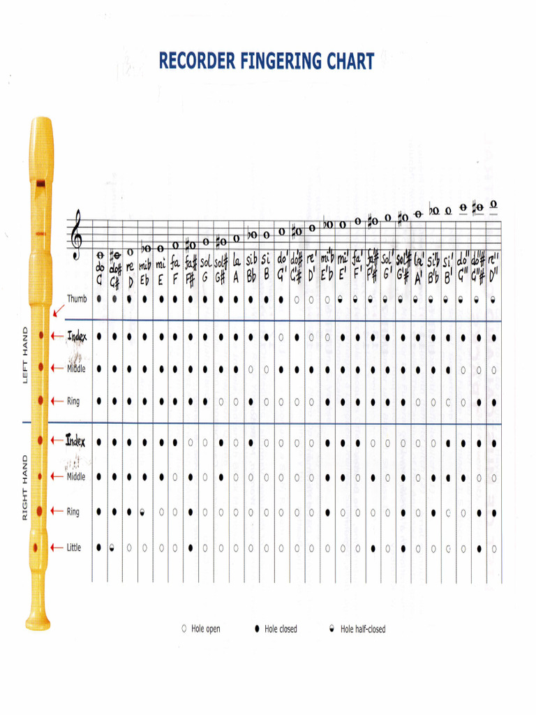 Flauta Posiciones | PDF