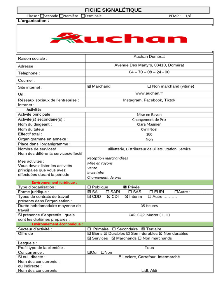 Fiche Signalétique Auchan Matis Besnard | PDF