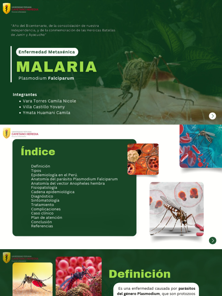 MALARIA | PDF