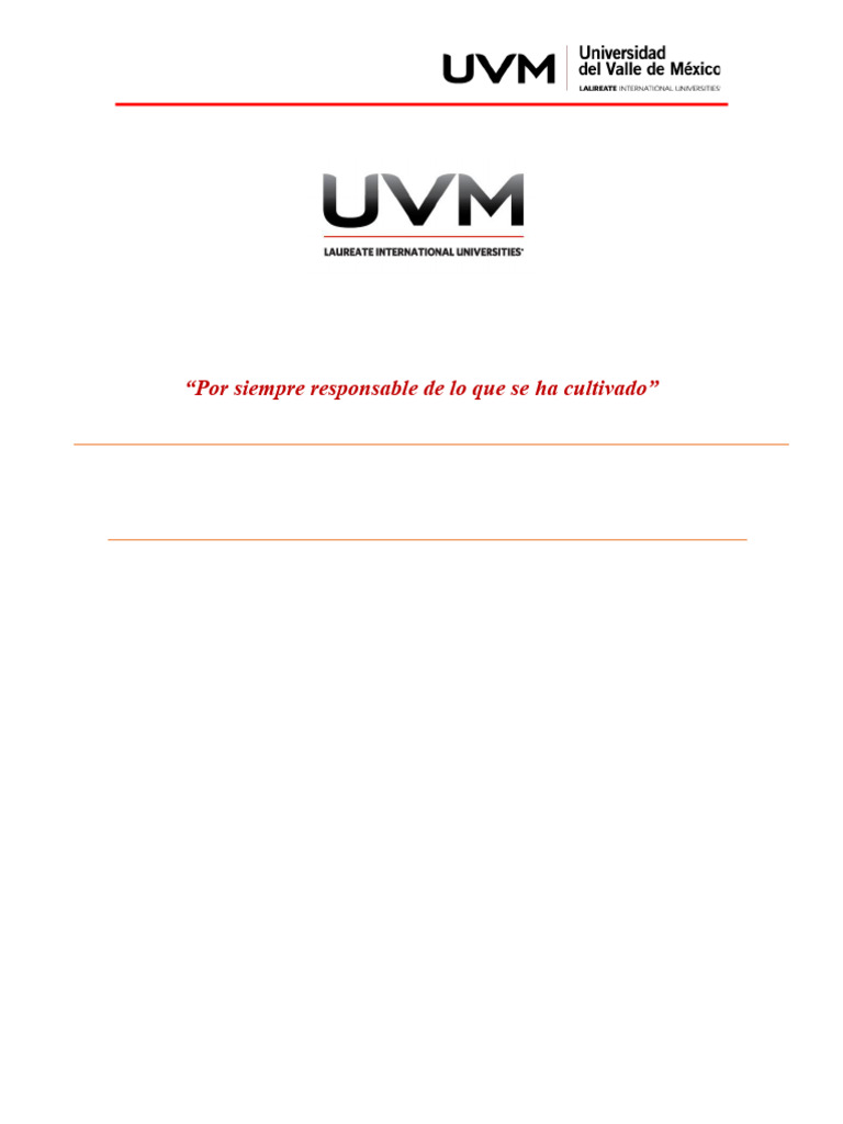 P.Inv. vigotski julio 24 | PDF