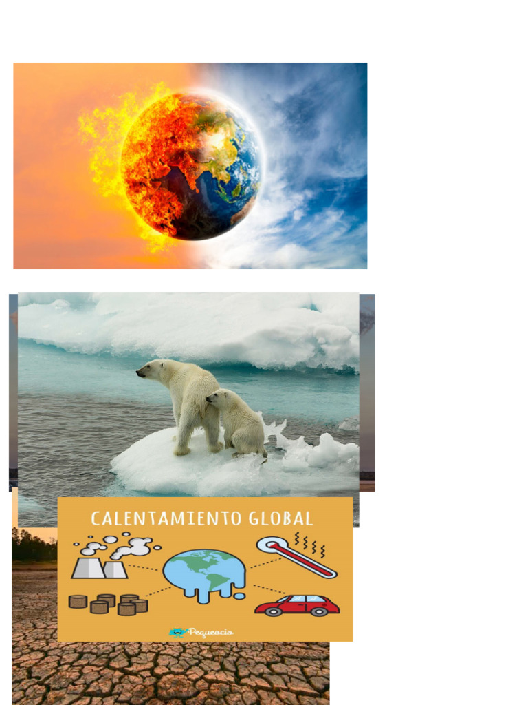 Documento (1) (2) | PDF