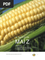 Cosecha y Postcosecha en El Cultivo de Maiz | PDF | Maíz | Semilla