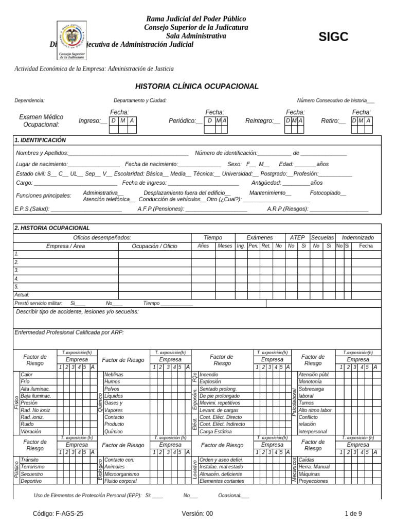 FORMATO Historia Clinica Ocupacional | PDF | La columna vertebral | Medicina CLINICA