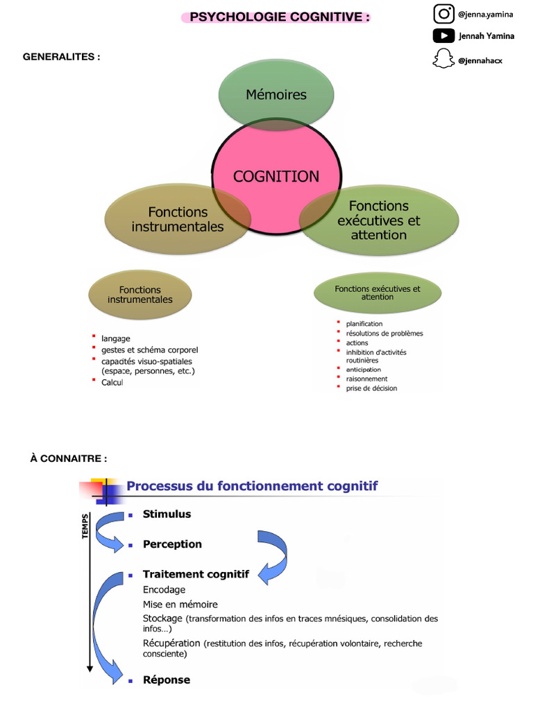 Psychologie Cognitive | PDF