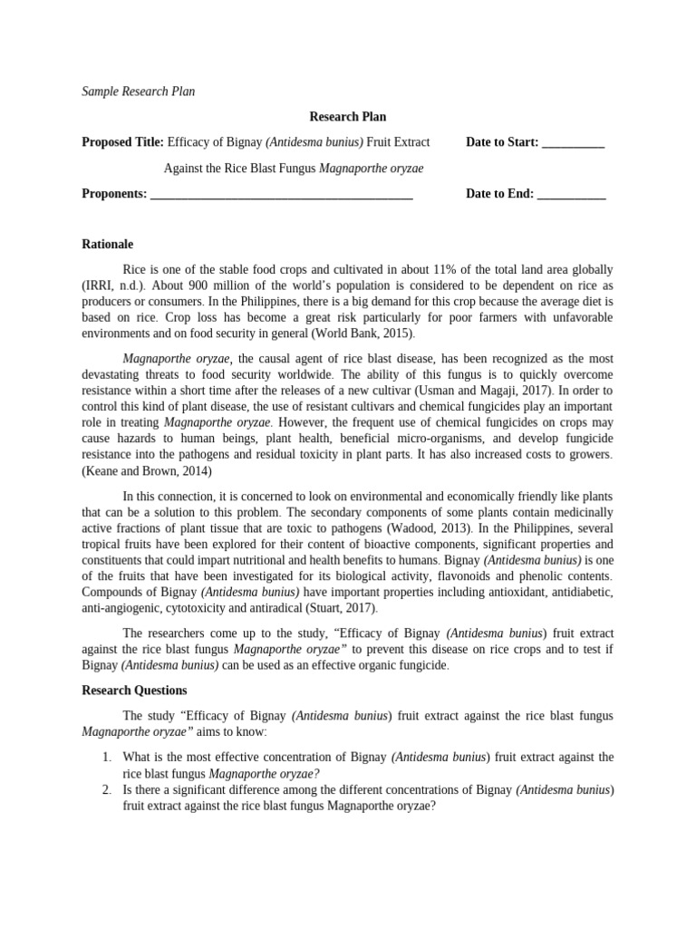 Research Plan Sample | PDF