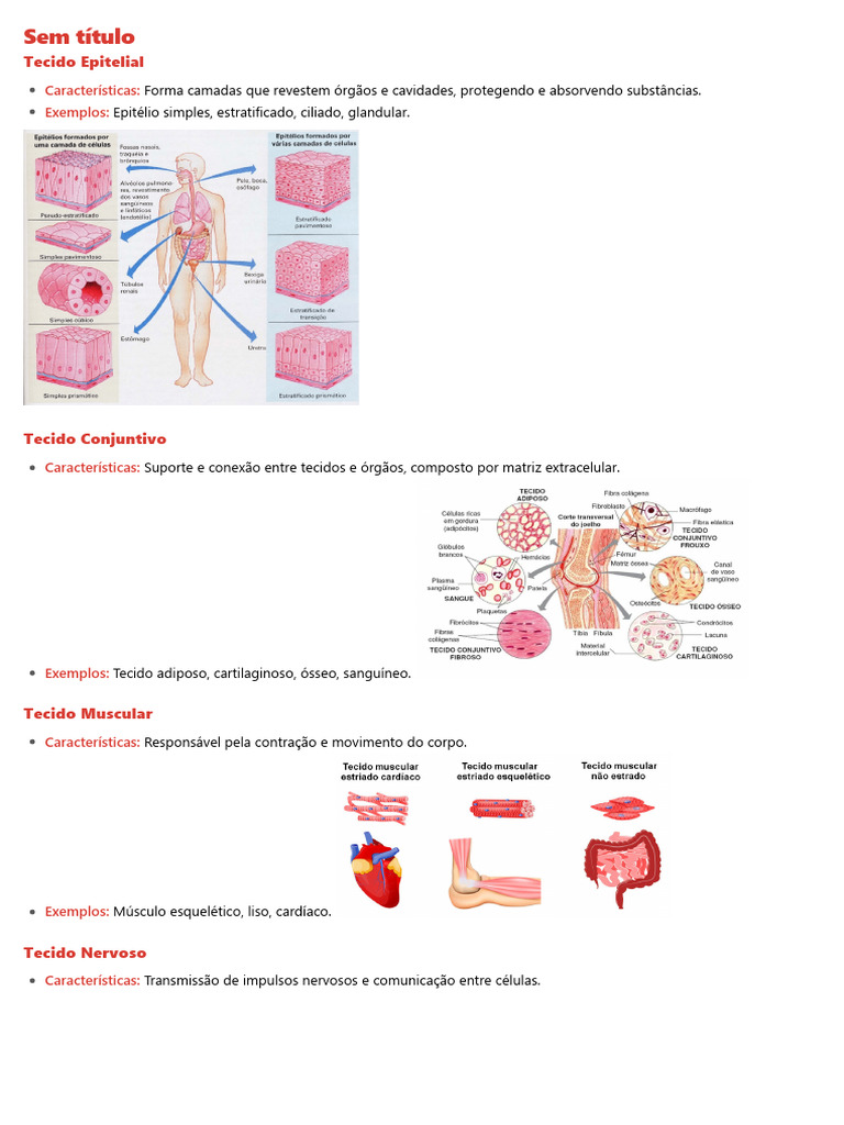 Principais Tipos de Tecidos Do Corpo Humano | PDF