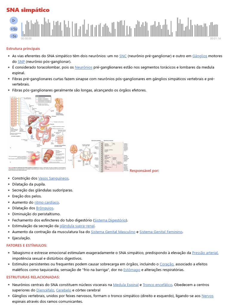 SNA simpático | PDF