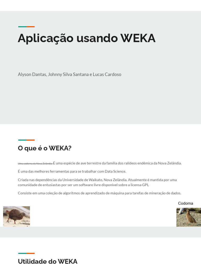 Trabalho IA - Av3 - Aplicação WEKA | PDF