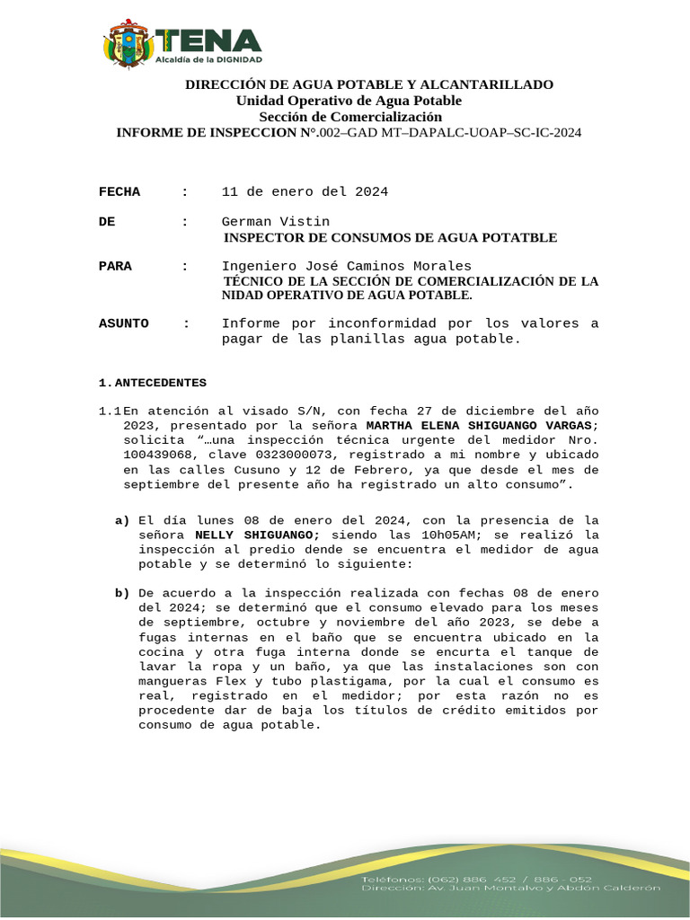 Informe de Inspeccion 2024 | PDF