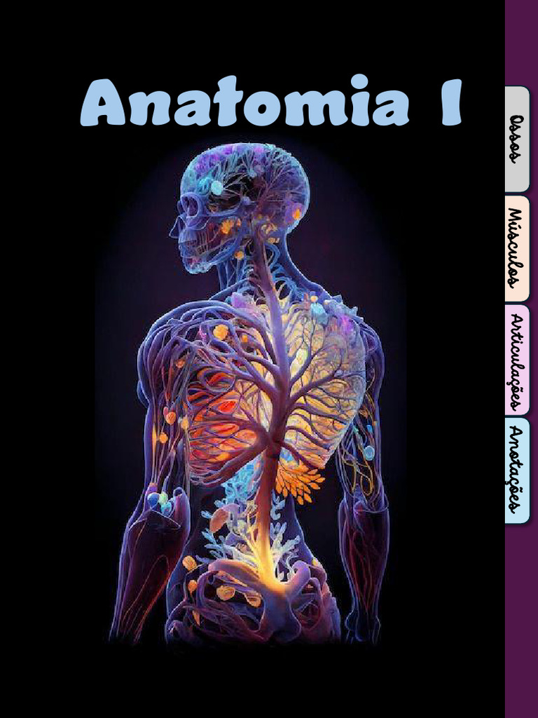 Caderno de anatomia | PDF