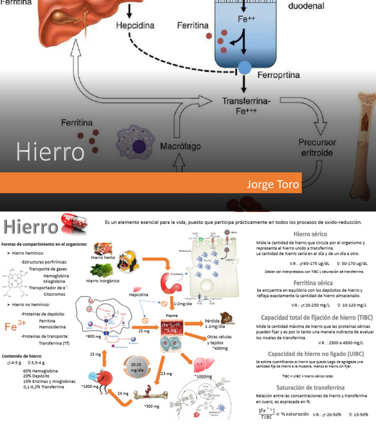 hierro | PDF