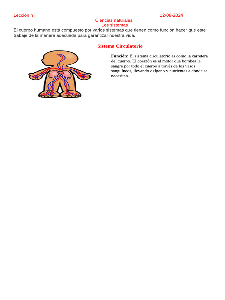 Los Sistemas Del Cuerpo | PDF | Sistema circulatorio | Salud y bienestar