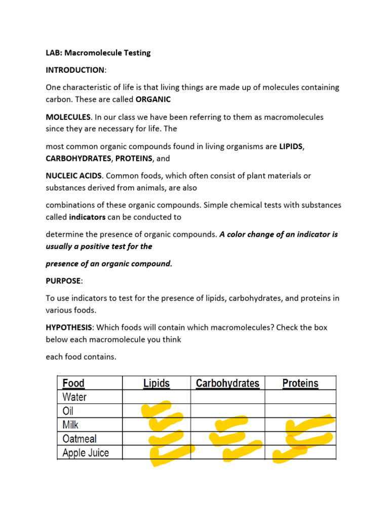 Biomolecules Lab Ve 2023ve | PDF
