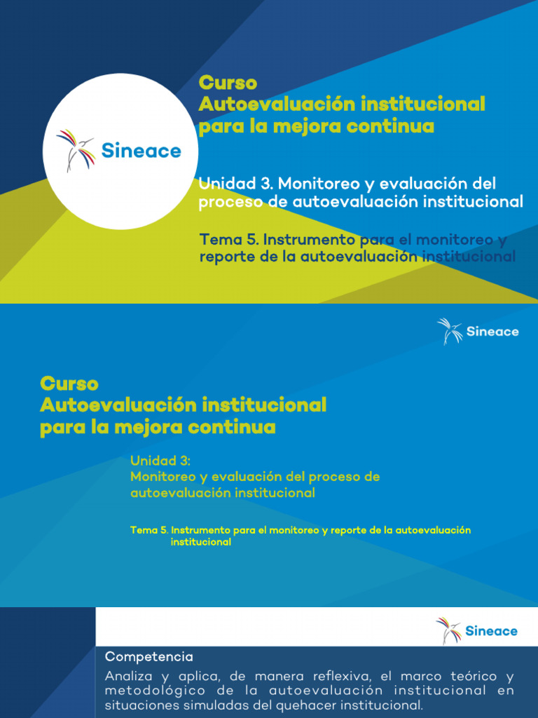 PPT Instrumento de reporte | PDF