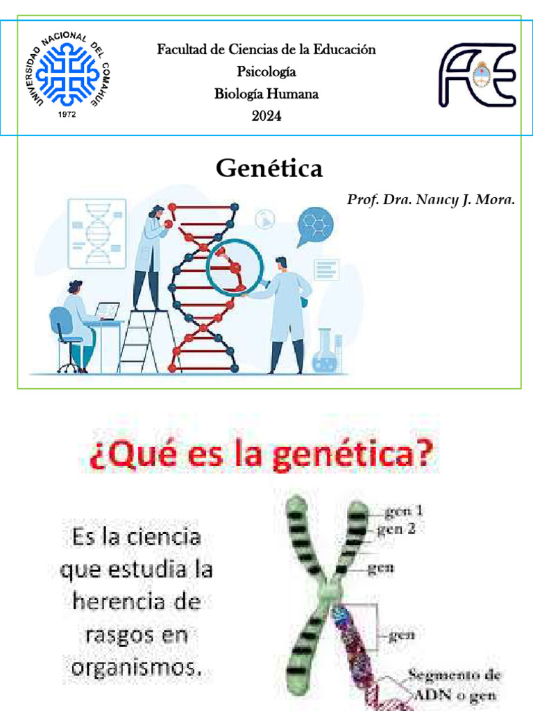 TP3.4 Genética | PDF | Potencia celular | Cromosoma