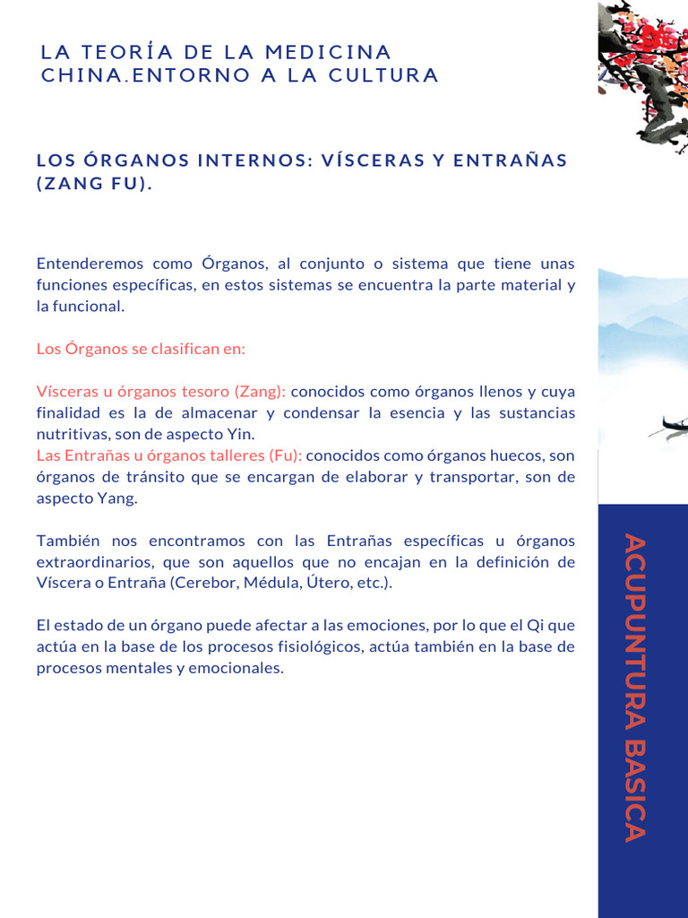 13-Los Órganos Internos Vísceras y Entrañas (Zang Fu) . | PDF