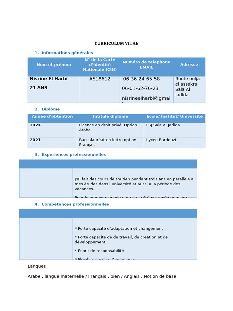 CV Nisrine | PDF
