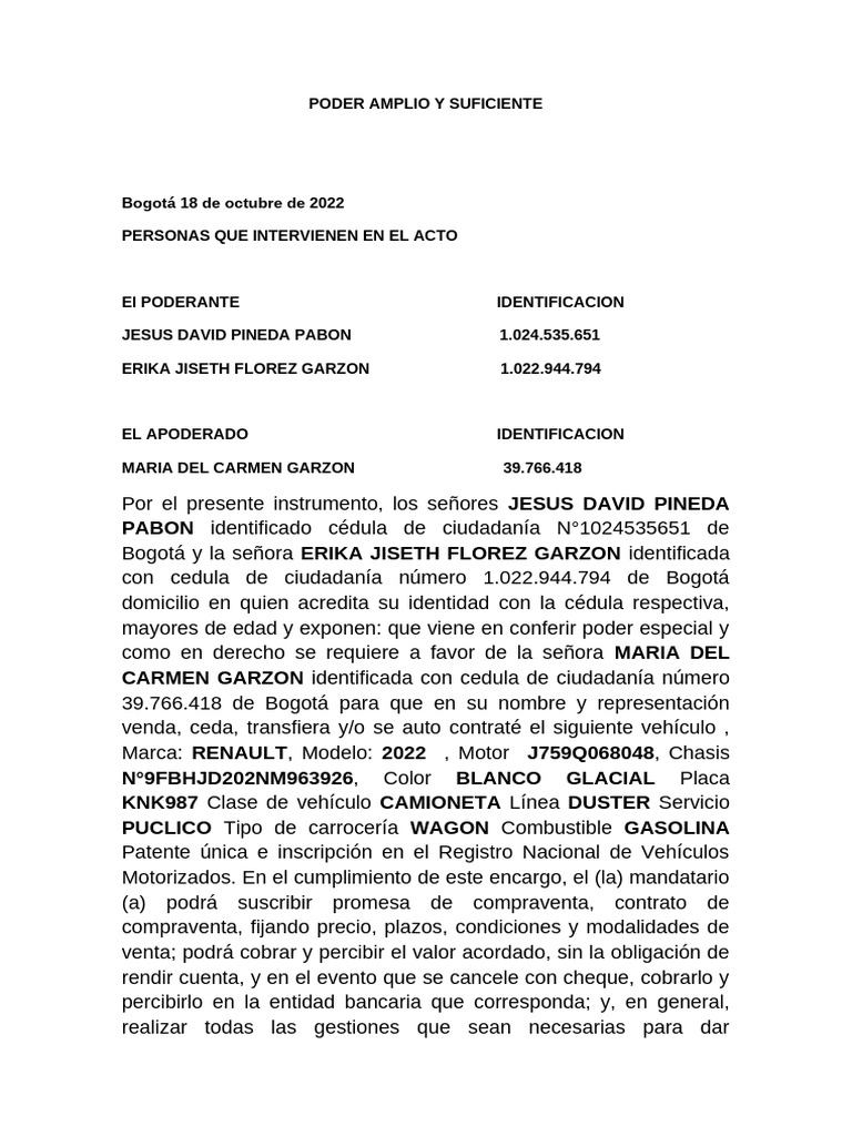 PODER AMPLIO Y SUFICIENTE | PDF