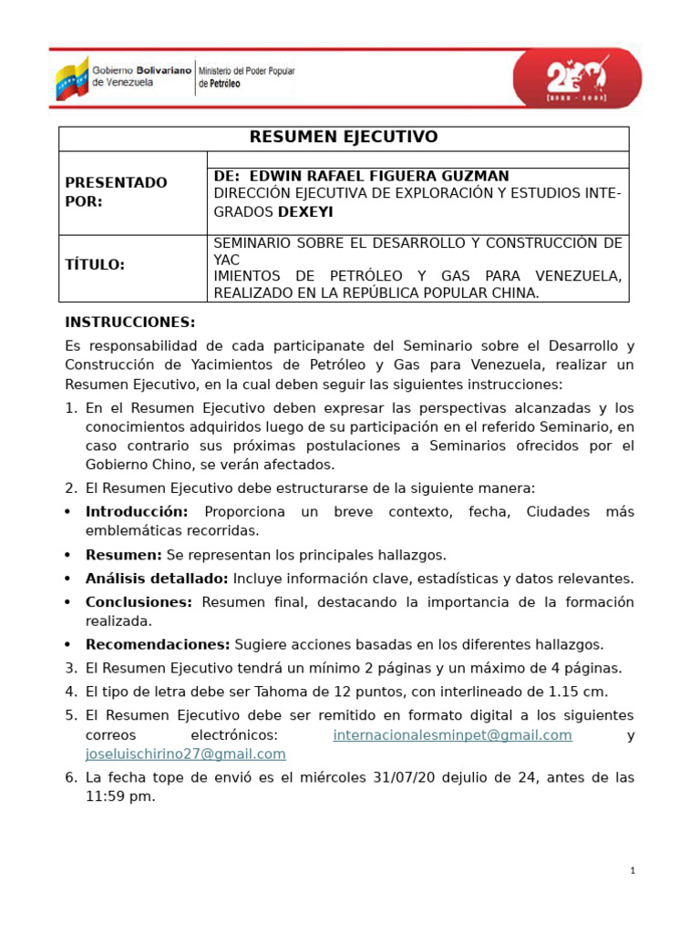 Formato para Resumen Ejecutivo (3358) | PDF | Petróleo | Negocios