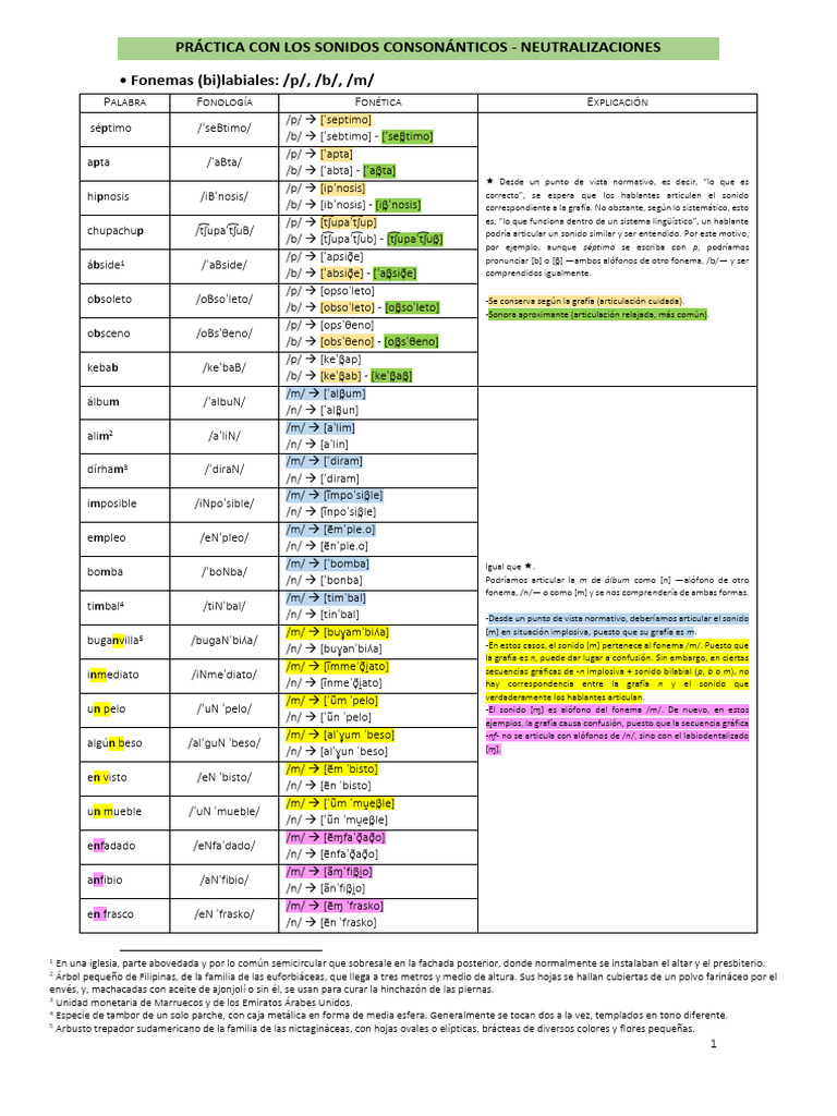 Práctica 1B. Transcripción Consonántica (Avanzado) (Solución) | PDF