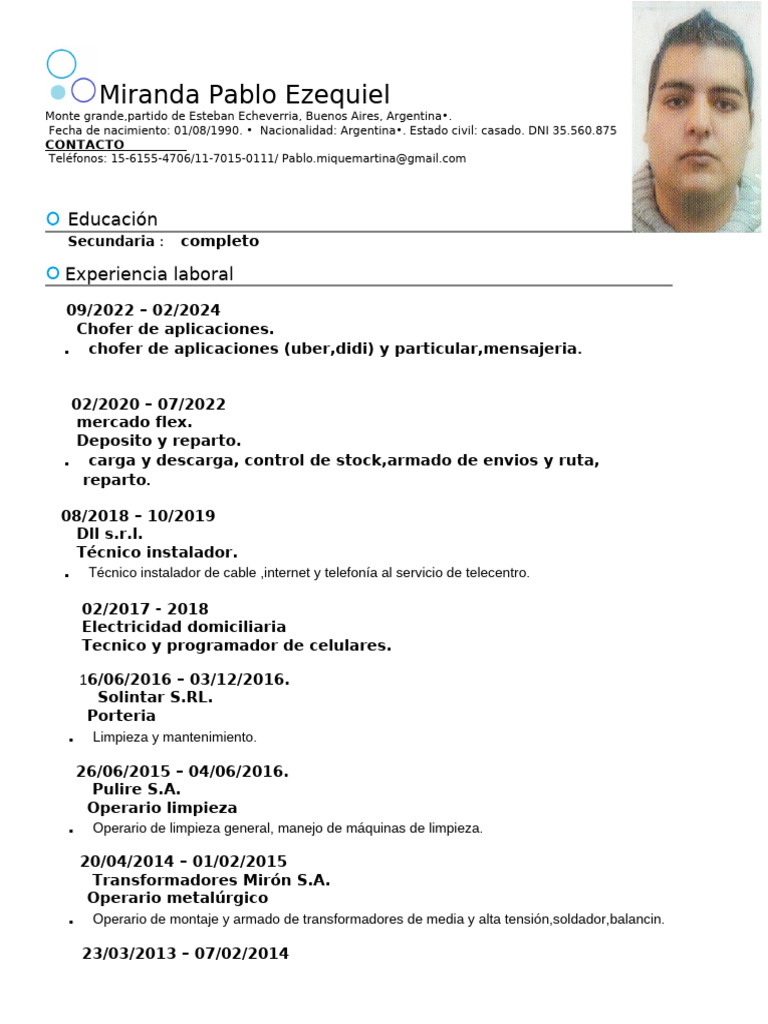 Curriculum Vitae Pablo Miranda | PDF