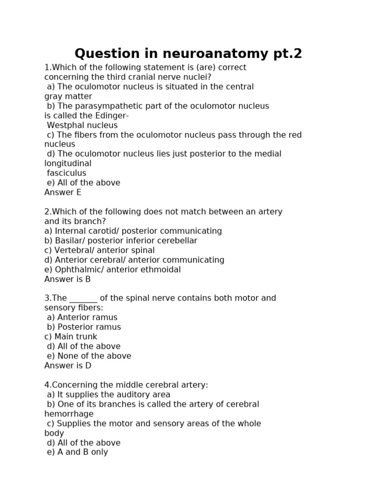 Quiz Neuroanatomy Rest | PDF | Spinal Cord | Teaching Methods & Materials