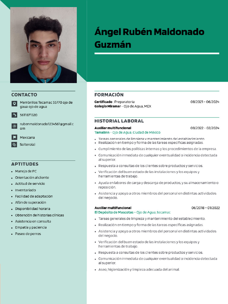 CV Angel Maldonado | PDF