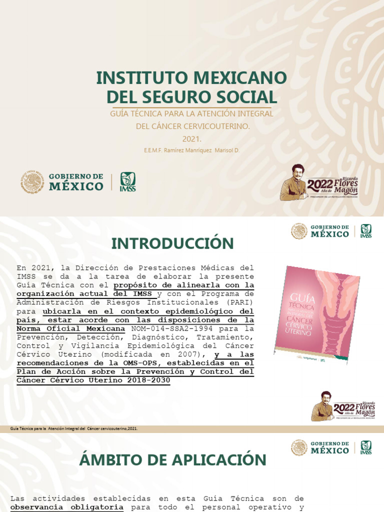 Guia Cacu 2021 | PDF