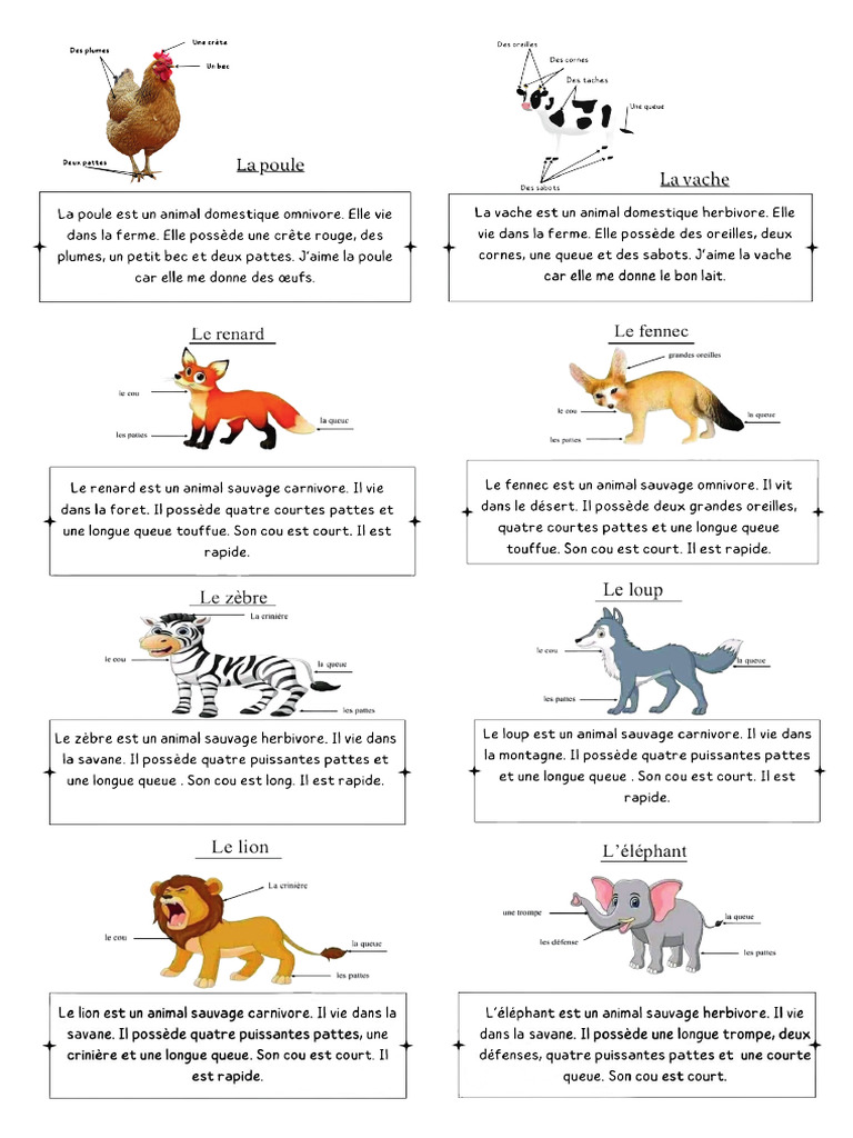 Décrire Un Animal | PDF