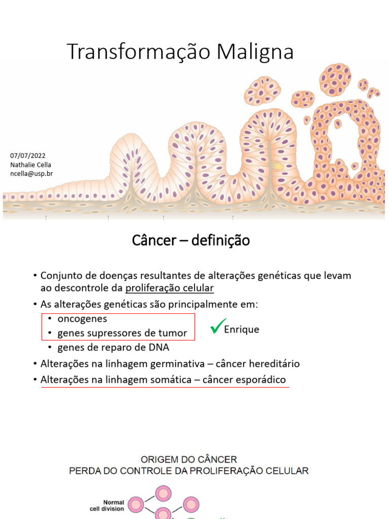 Transformação Maligna 2023 | PDF
