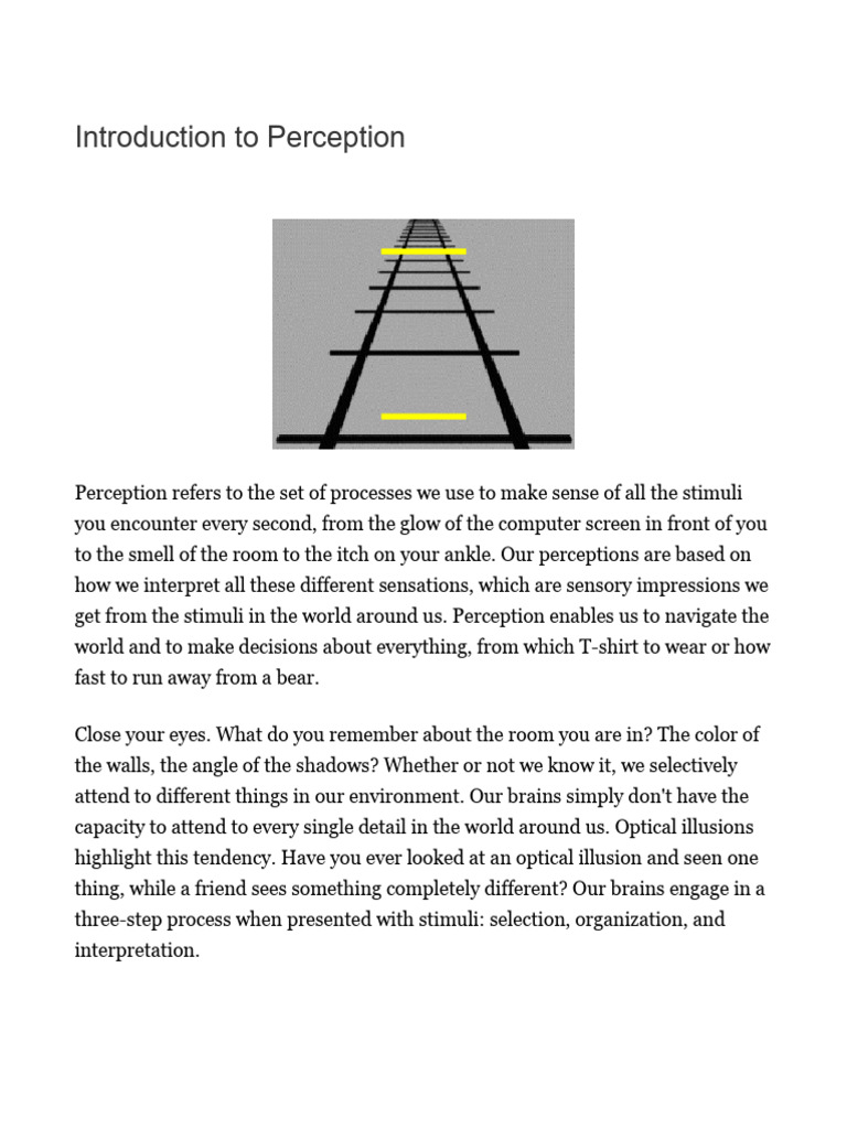 Introduction To Perception Boundless | PDF
