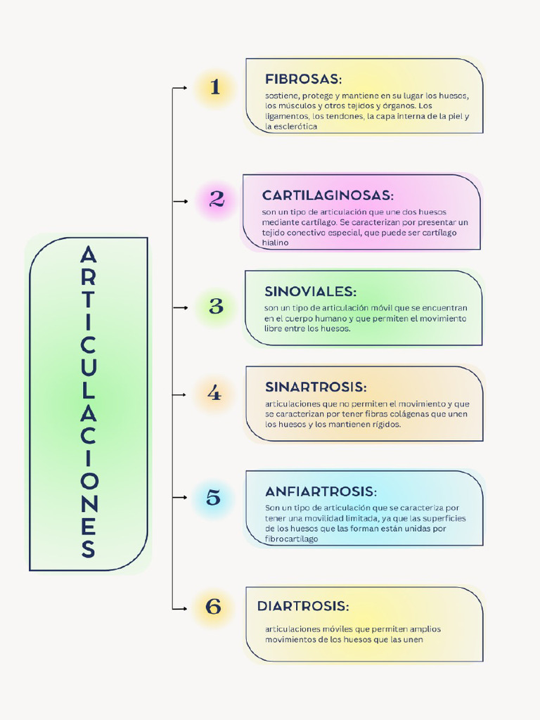 Articulaciones PDF | PDF