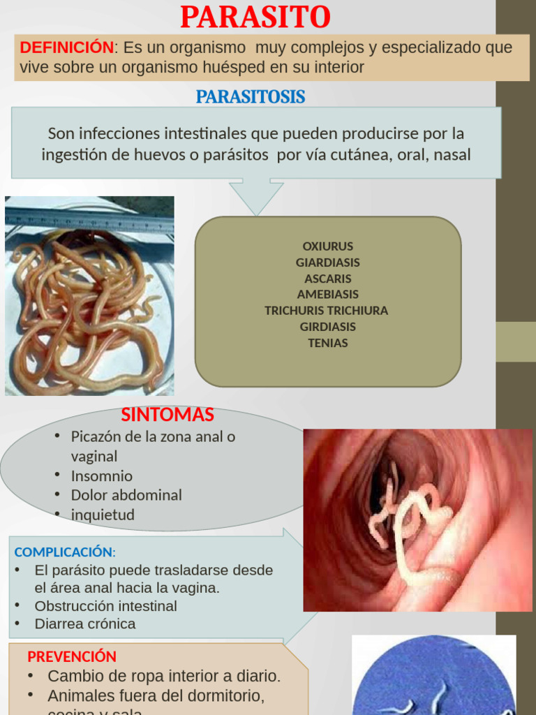 parasito y test de graham 4 | PDF