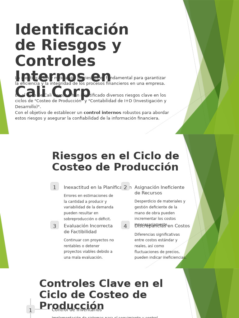 SIF y SCI - Sistema de Control Interno | PDF