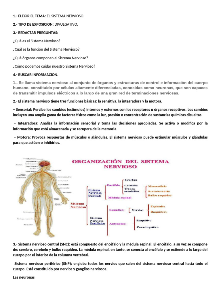 Ejemplo de Texto Expositivo | PDF
