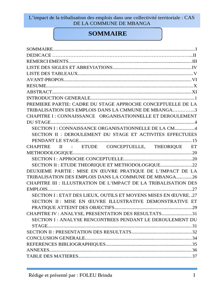 Rapport Brindy Ok | PDF