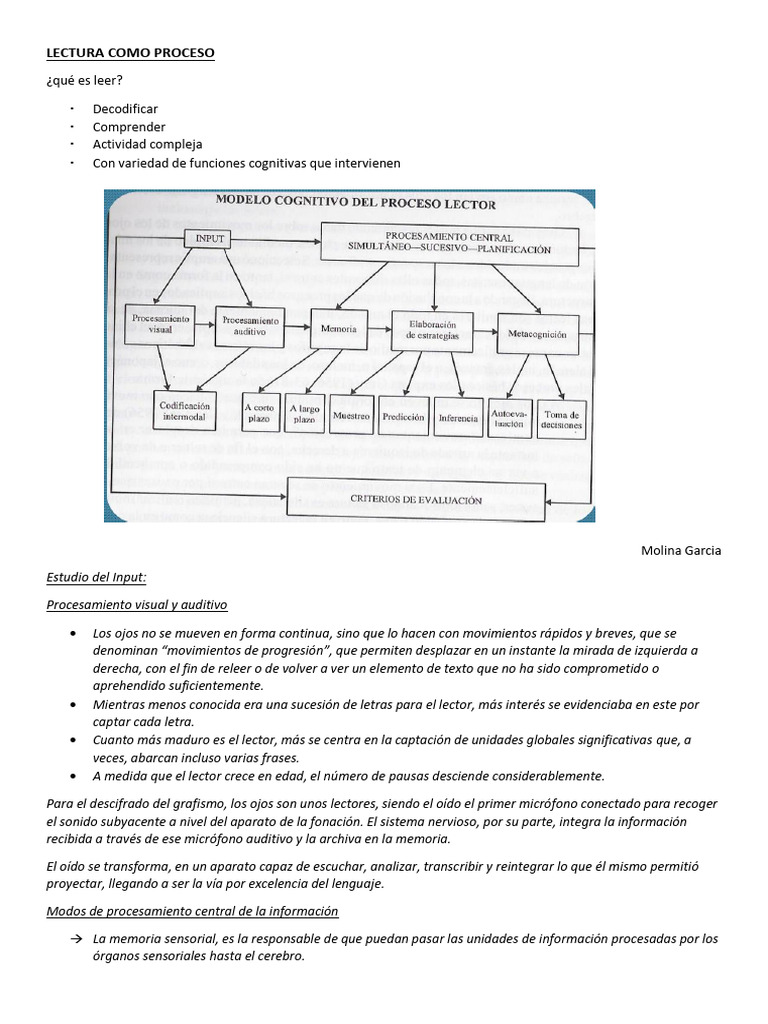 Proceso lector | PDF