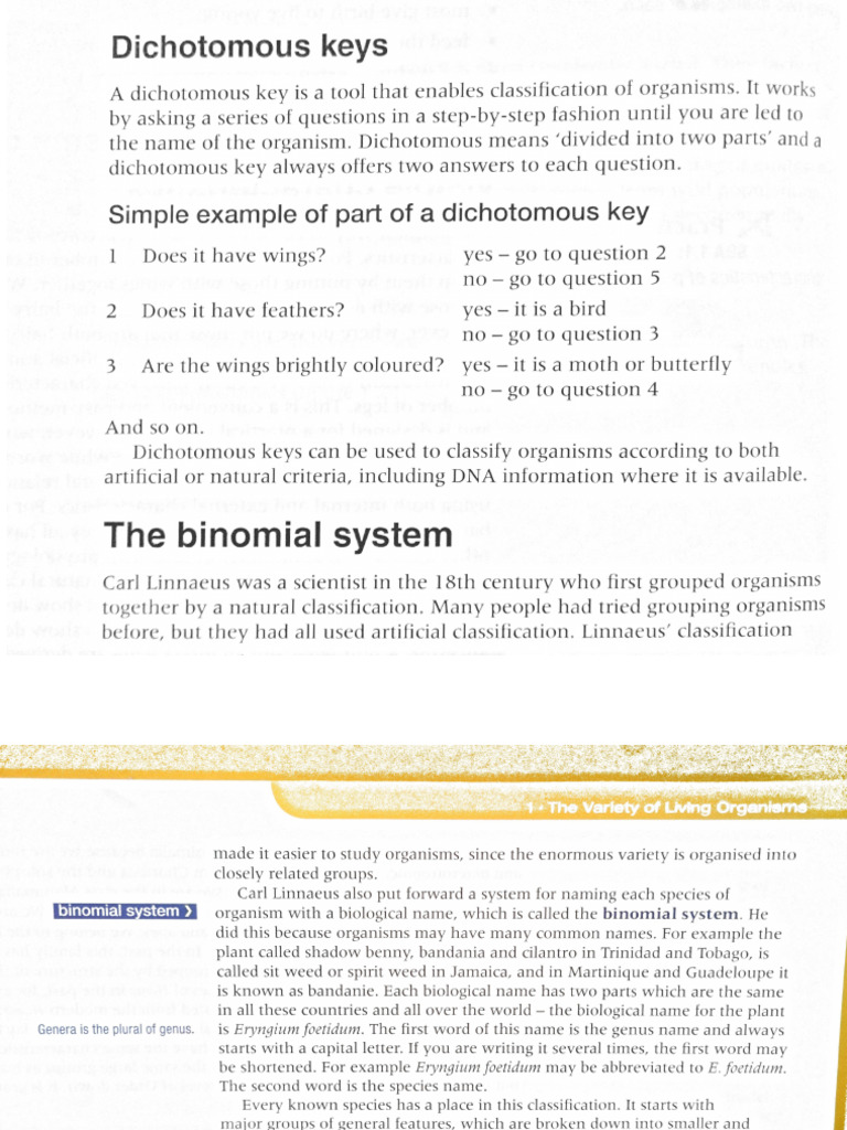 Using. A Dichotomous Key | PDF