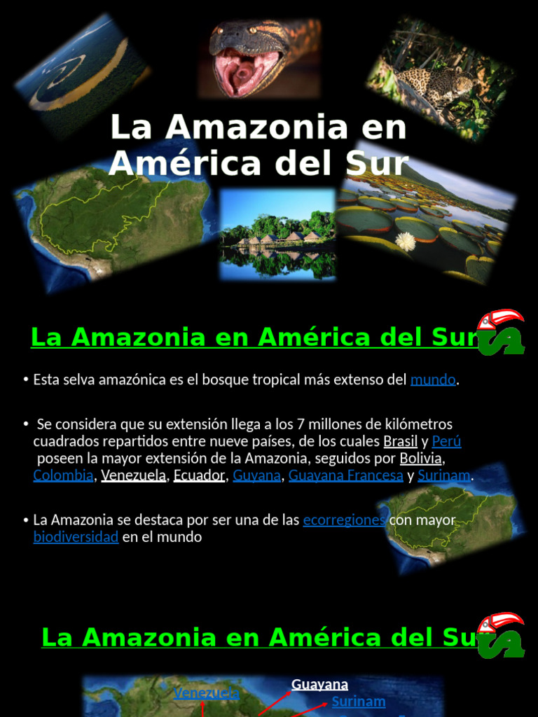 Amazonia en America Del Sur | PDF