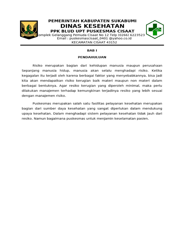 Panduan Manajemen Risiko | PDF