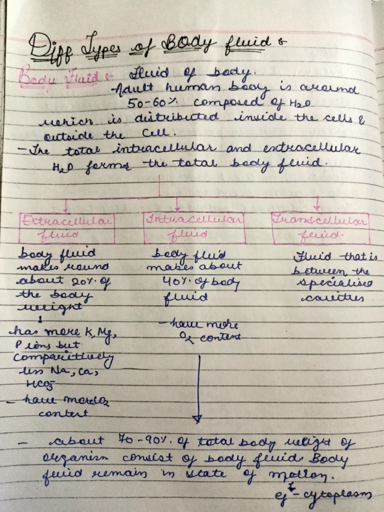 Essential Insights-Understanding The Role and Management of Body Fluids ...