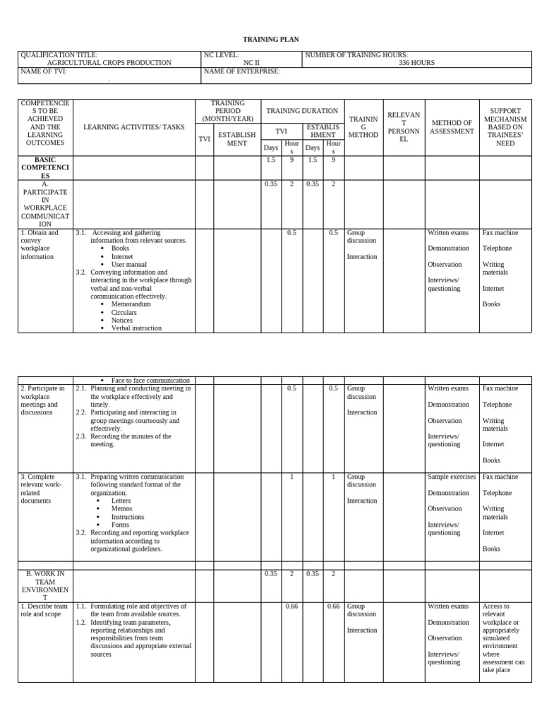 VCD Training Plan ACP NCII | PDF