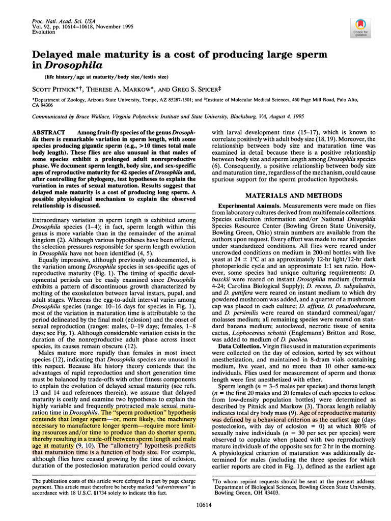 Pitnick Et Al 1995 Delayed Male Maturity Is A Cost of Producing Large Sperm in Drosophila | PDF