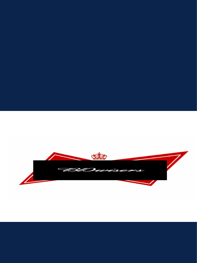BD Presentation | PDF