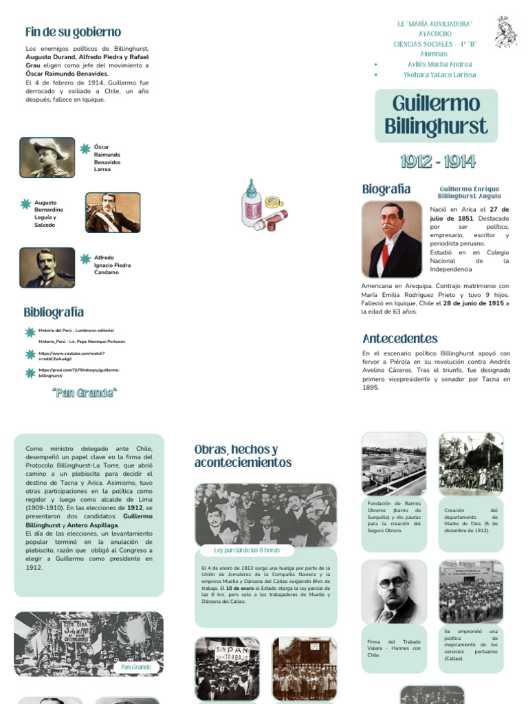 Guillermo Billinghurst | PDF