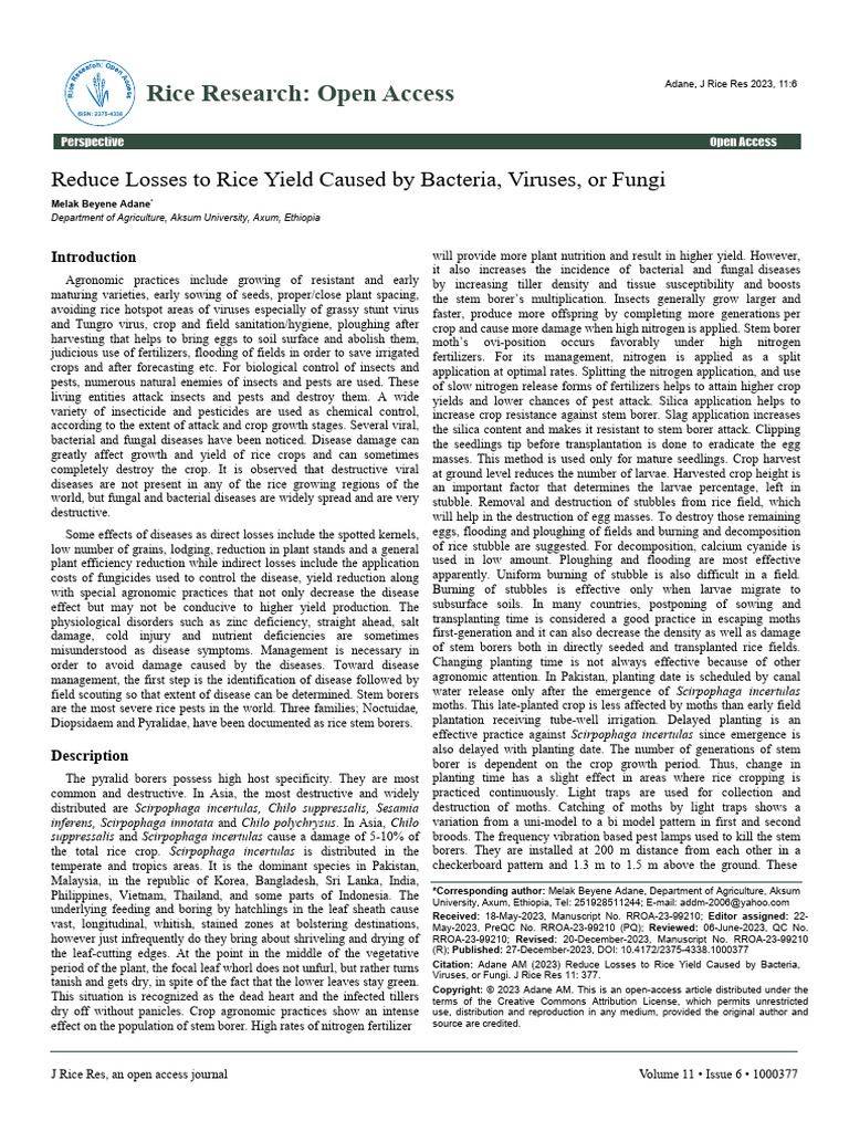 Reduce Losses To Rice Yield Caused by Bacteria Viruses or Fungi | PDF