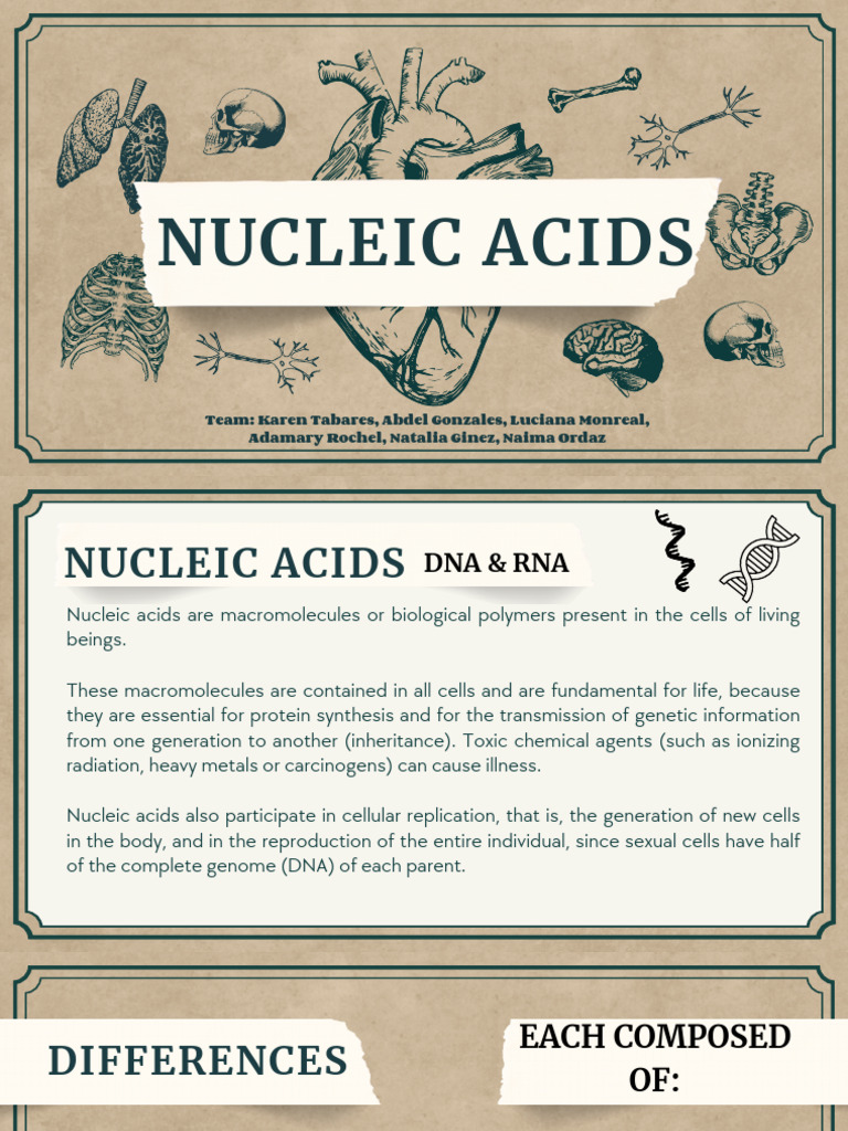 Nucleic Acids PDF | PDF